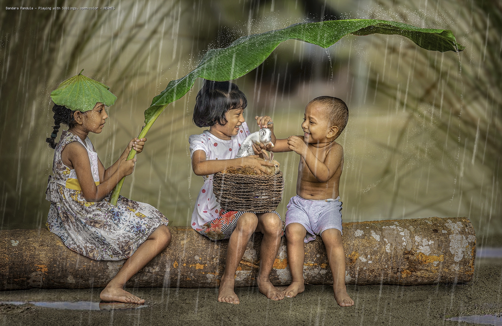 13th Olympic Photographic Circuit 2025 - 13th Olympic Photographic ...