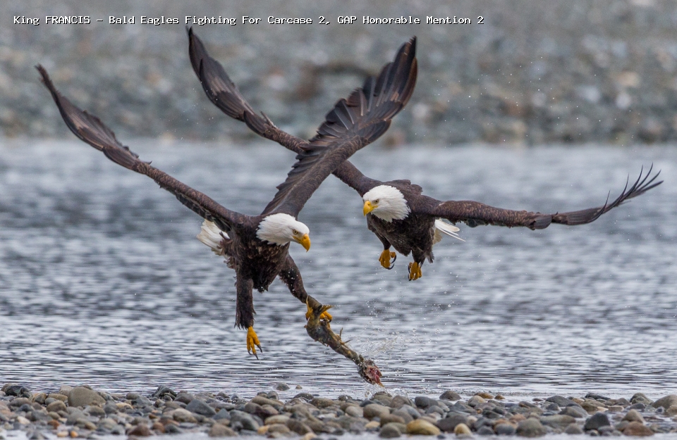 "APHRODITE", Awarded Photos Gallery for the 12th Olympic Photo Circuit ...