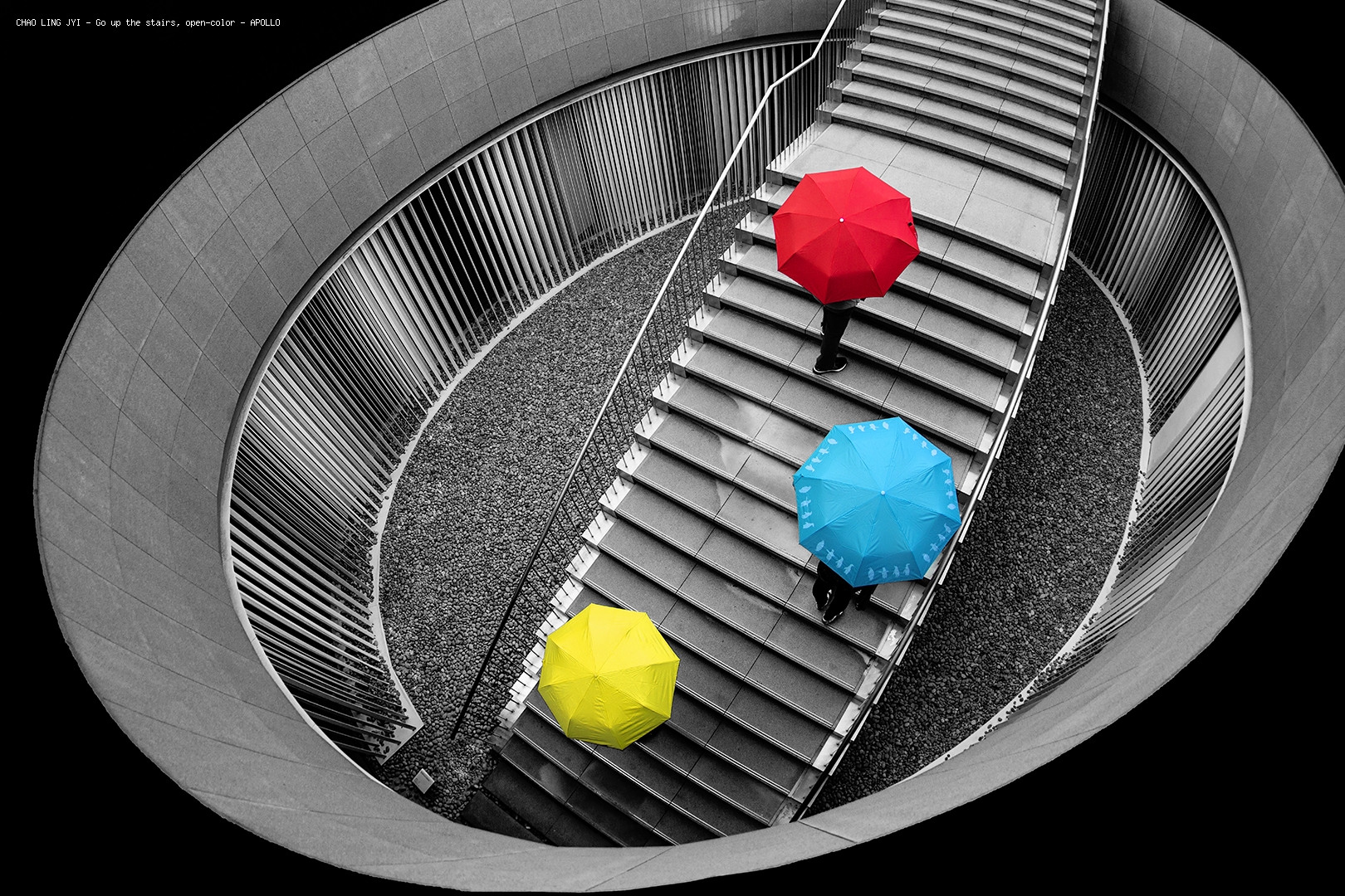 "APOLLO" Salon, Acceptances Gallery for the 12th Olympic Photo Circuit ...