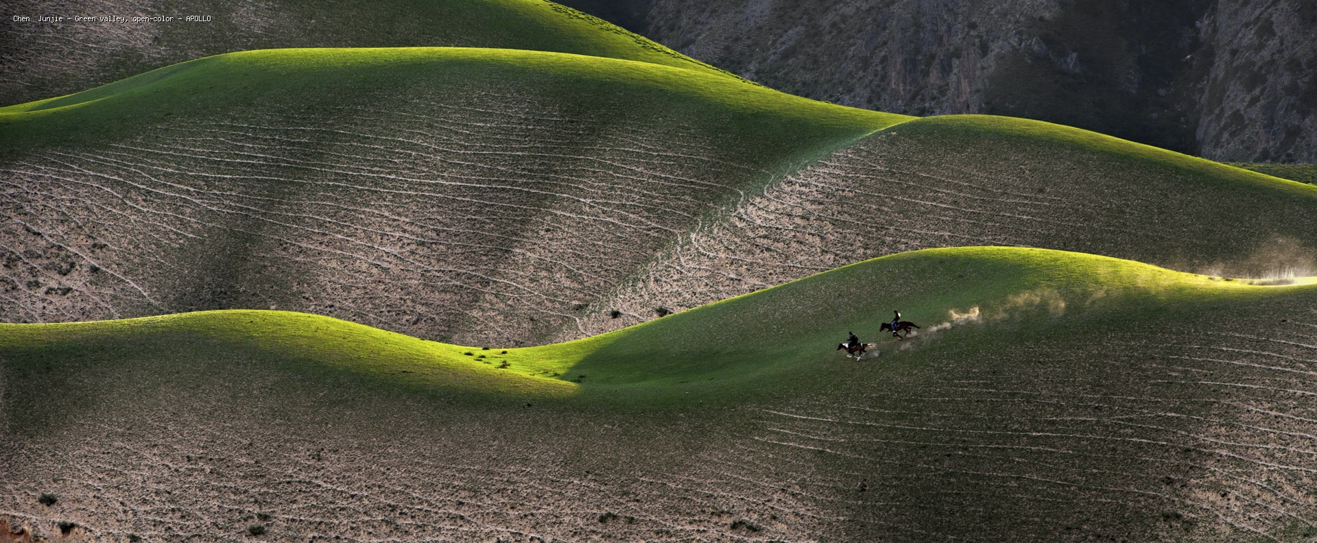 "APOLLO" Salon, Acceptances Gallery for the 12th Olympic Photo Circuit ...