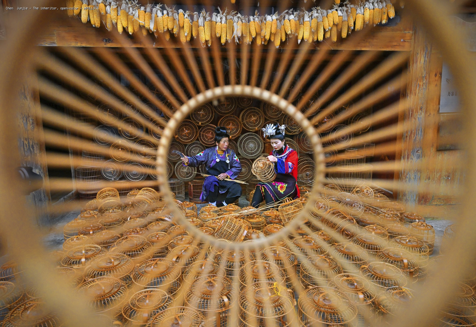 "APOLLO" Salon, Acceptances Gallery for the 12th Olympic Photo Circuit ...