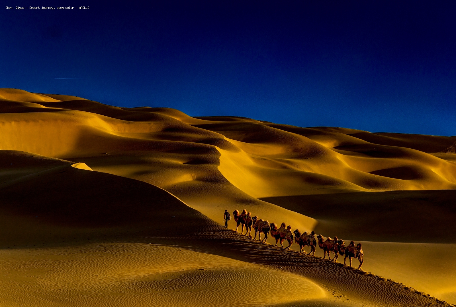 "APOLLO" Salon, Acceptances Gallery for the 12th Olympic Photo Circuit ...