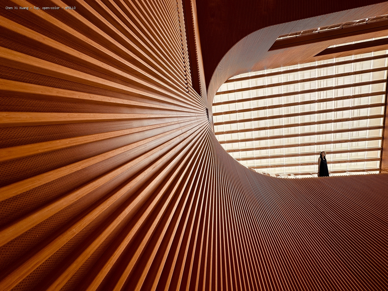 "APOLLO" Salon, Acceptances Gallery for the 12th Olympic Photo Circuit ...