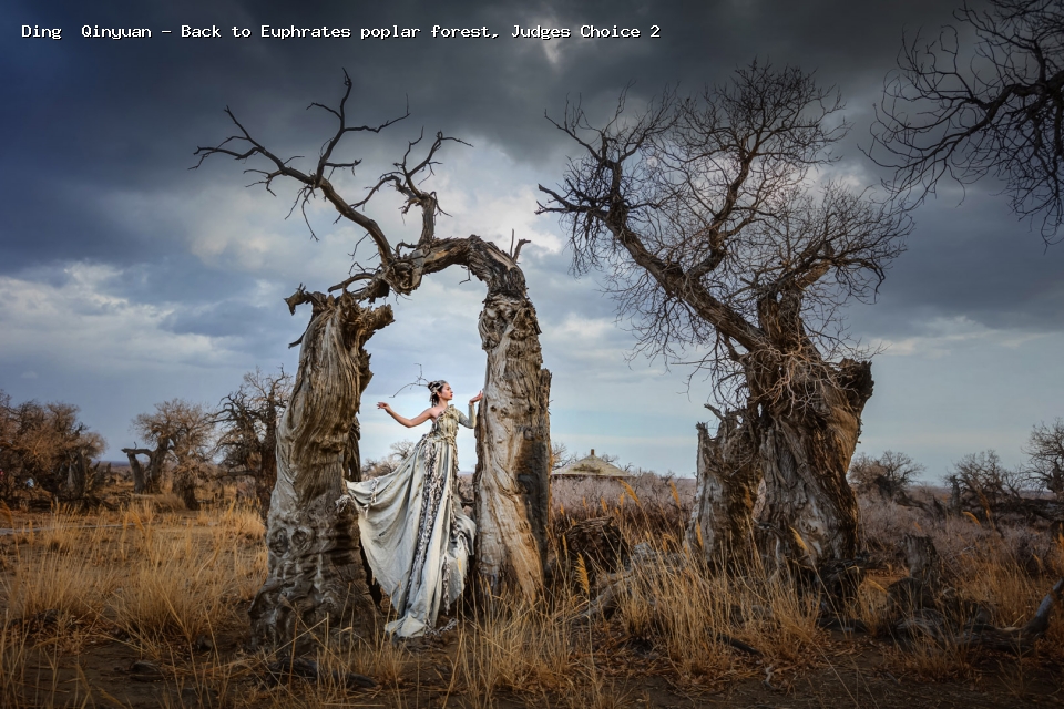 "APOLLO", Awarded Photos Gallery for the 12th Olympic Photo Circuit ...